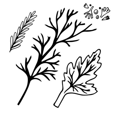 Premium Vector Vector Sketch Illustration Of Spices And Herbs