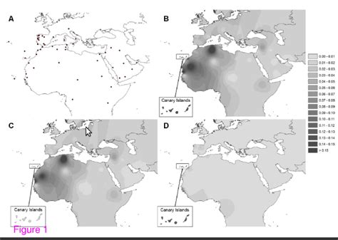 For What They Were We Are New Paper On MtDNA U6