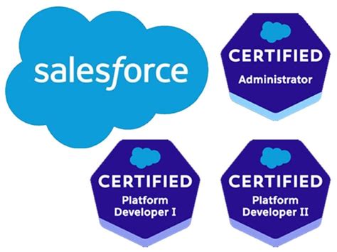 Expert Salesforce Development Administration Work Upwork