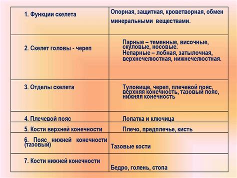 Скелет человека его строение и значение презентация онлайн