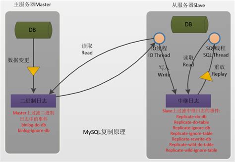 构建数据库解决方案，基于华为云 Flexus X 实例容器化 Mysql 主从同步架构华为云mysql 集群架构 Csdn博客