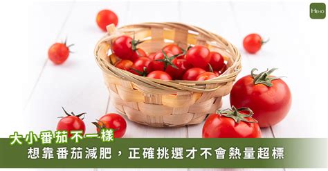 減肥、控血糖，大小番茄你吃對了嗎？吃錯熱量差一倍 Heho健康