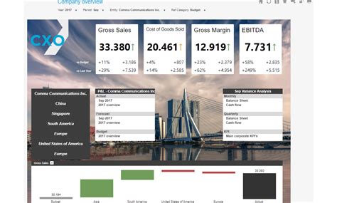 Company Overview Sample Reports And Dashboards Insightsoftware