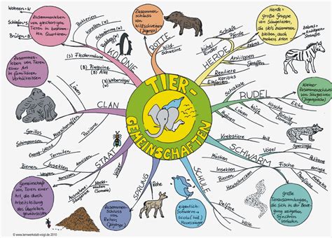 Mind Map Vorlage Beste Mindmap Erstellen Vorlage Ideen