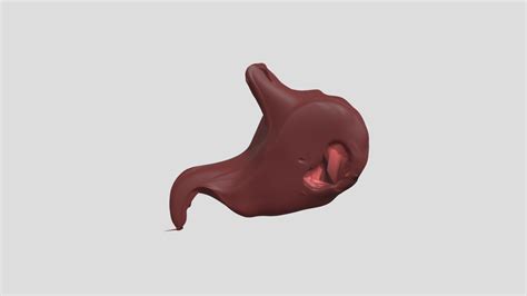 My Model D Model By Ayleen A C Sketchfab