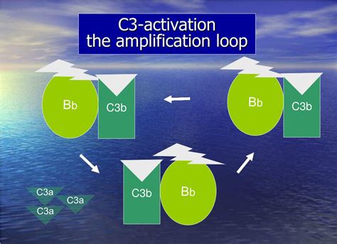 Ppt Normal Immune System Function Powerpoint Presentation Free