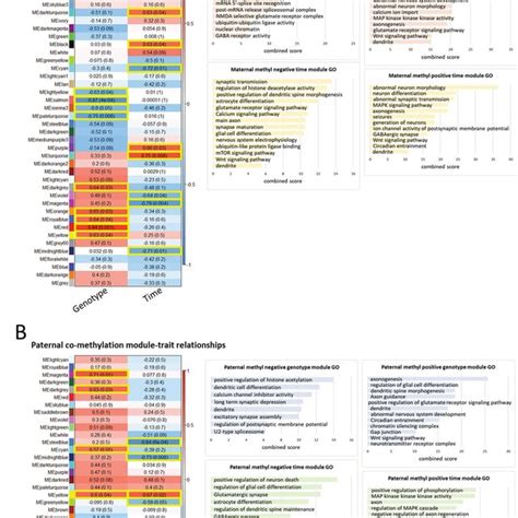 Wgcna Methylation Module And Trait Correlation Heatmaps And Go Terms