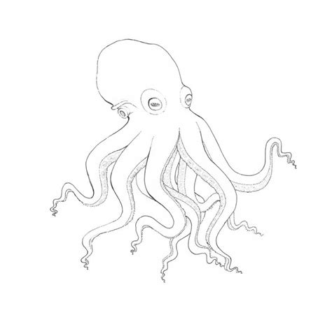 Cómo Dibujar un Pulpo Paso a Paso
