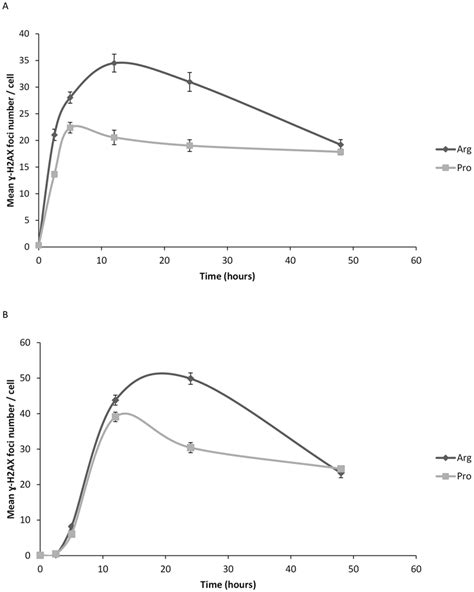 Kinetics Of γ H2ax Foci Formation And Disappearance In Jurkat P53arg