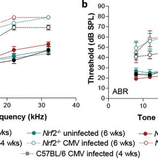 Hearing Assessment In Nrf2 Deficient Mice A Distortion Product