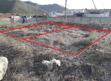 Эрдэнэшиш наранцэцэг тарьсан газарт хүнд металлын бохирдол 40 хувиар буурдгийг тогтоожээ