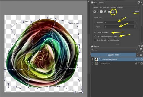 14 Liquify Tool Csp Ossamaolivia