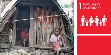 მდგრადი განვითარების მიზანი 1 სიღარიბის აღმოფხრა Sustainability Ge