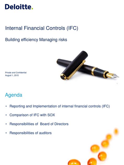 Internal Financial Controls Ifc Building Efficiency Managing Risks Pdf Internal Audit