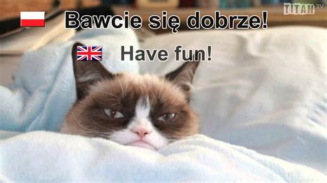 Polish Cats Social Phrases Youtube