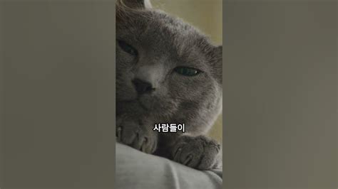 무고죄 형량을 10배로 높여야 하는 5가지 이유 사회 신뢰 회복을 위한 강력한 조치 무고죄 형량강화 허위신고 법적정의