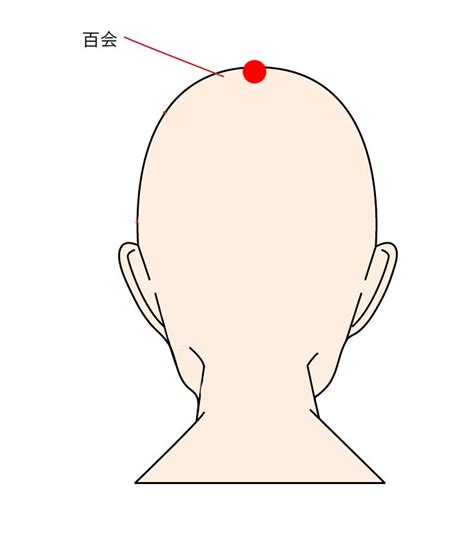 自分で出来る自律神経を整えるツボのまとめ cureco beta
