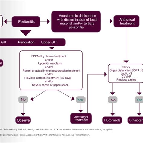 Algorithm For Surgical Patient Download Scientific Diagram