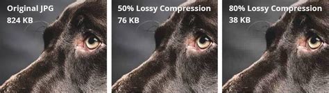 Flutter Image Compression Ensuring High Quality Dev Community
