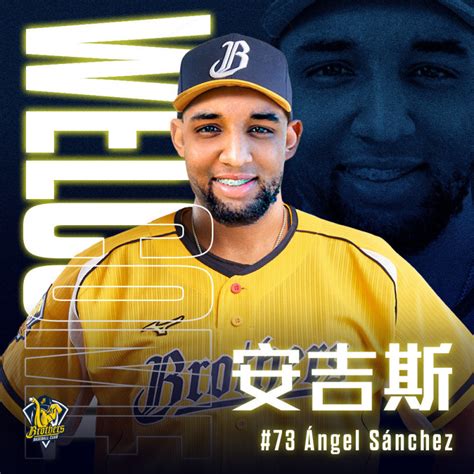 中職》中信兄弟洋投陣容補強 簽下有美日韓職資歷的安吉斯 自由體育