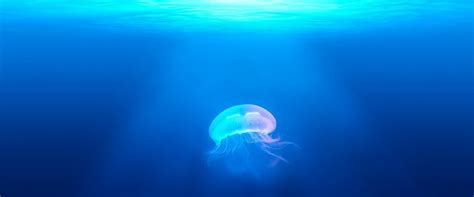 How Long Does It Take To Become A Certified Scuba Diver