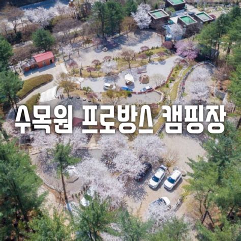포천 수목원 프로방스 캠핑장 명당 사이트 계곡존 데크존 비추사이트 안내 네이버 블로그