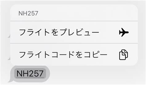️雑記 家族が飛行機で帰ってくる時に使えるツール 1991年生まれの感想