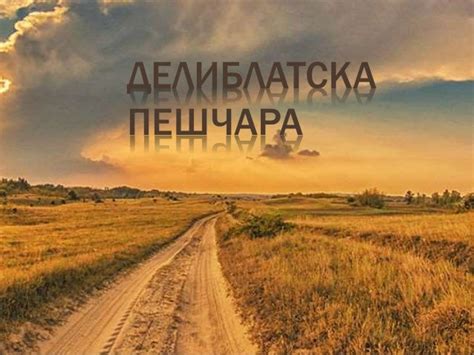 Делиблатска пешчара - Дангубић Д.