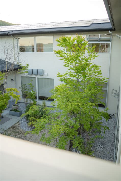 A7305938 公式株式会社キヨトキ千樹の杜