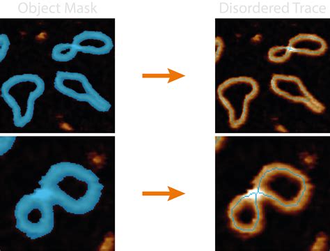 Disordered Tracing Topostats