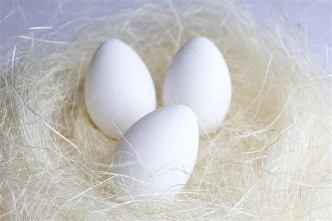 Premium Photo The Art Of Egg Preparation Crafting Perfection