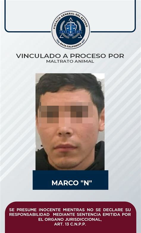 Dan Prisión Preventiva A Hombre Acusado De Maltrato Animal Síntesis Tv