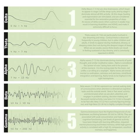 Premium Vector Different Brain Waves Diagrams
