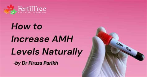 How To Increase AMH Levels Naturally By Dr Firuza Parikh