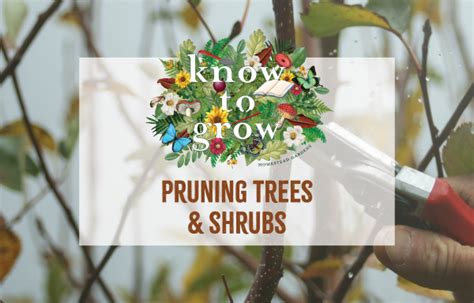 Know To Grow Spring Workshops Pruning Trees Shrubs Tuesday
