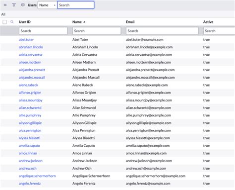 how do i create modify or delete a user in servicenow the snowball