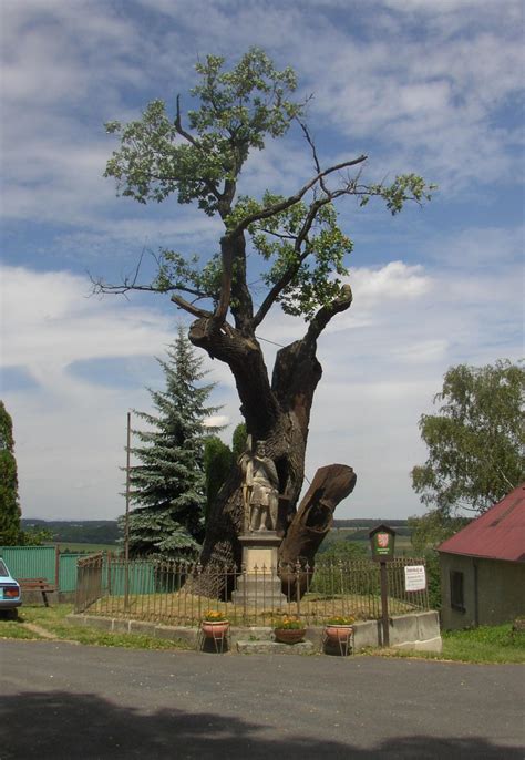 Stochov