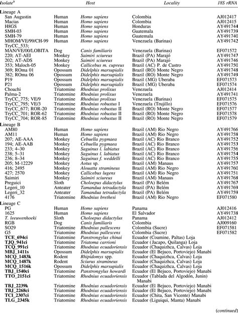 samples used for maximum likelihood phylogenetic analyses and