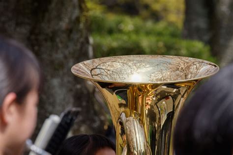 桜の下のコンサートー2 GANREF