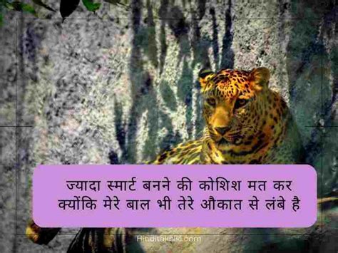 350 एटीट्यूड शायरी हिंदी में Attitude Shayari In Hindi Hinditakniki