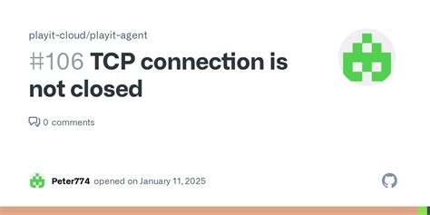 Tcp Connection Is Not Closed · Issue 106 · Playit Cloudplayit Agent