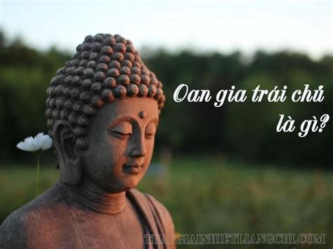 Oan Gia Tr I Ch L G C Ch Nh N Bi T Ho Gi I Oan Gia Tr I Ch