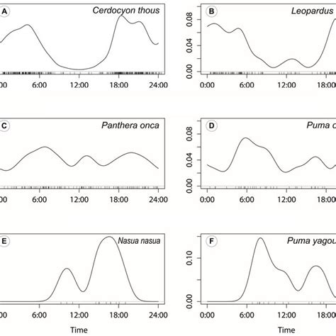 Kernel Densities Of Activity Patterns Of The Most Detected Carnivore Download Scientific