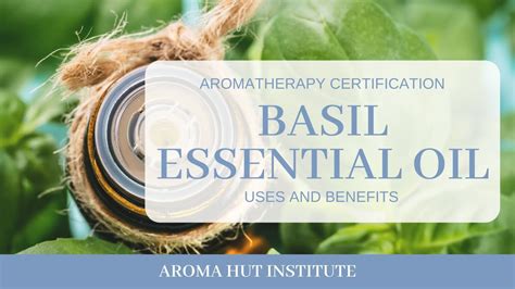 Basil Essential Oil Uses And Benefits Essential Oils Anita Fincham