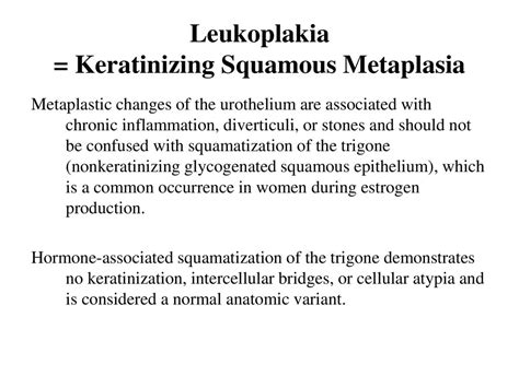 Benign Tumors Of The Bladder Ppt Download