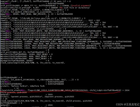 fork入门 fork使用教程 csdn博客