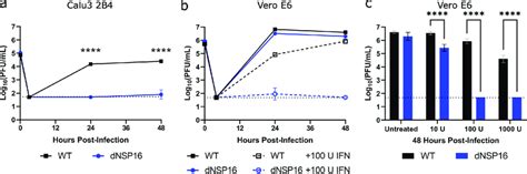 Dnsp16 Is Attenuated In Human Respiratory Cells And Is More Sensitive