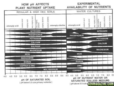 Cannabis Nutrient Chart A Visual Reference Of Charts Chart Master