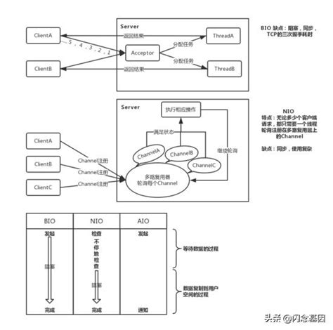 C Socket 多客户并发访问传输文件socket 核心原理分享悠玲的博客 Csdn博客