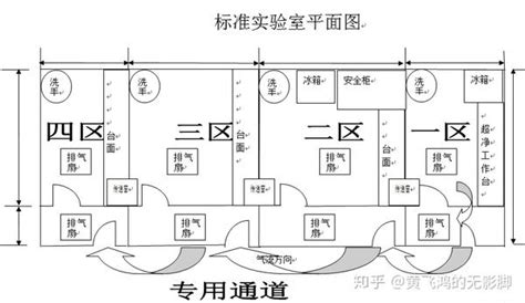 Pcr实验室建设指南中南 知乎